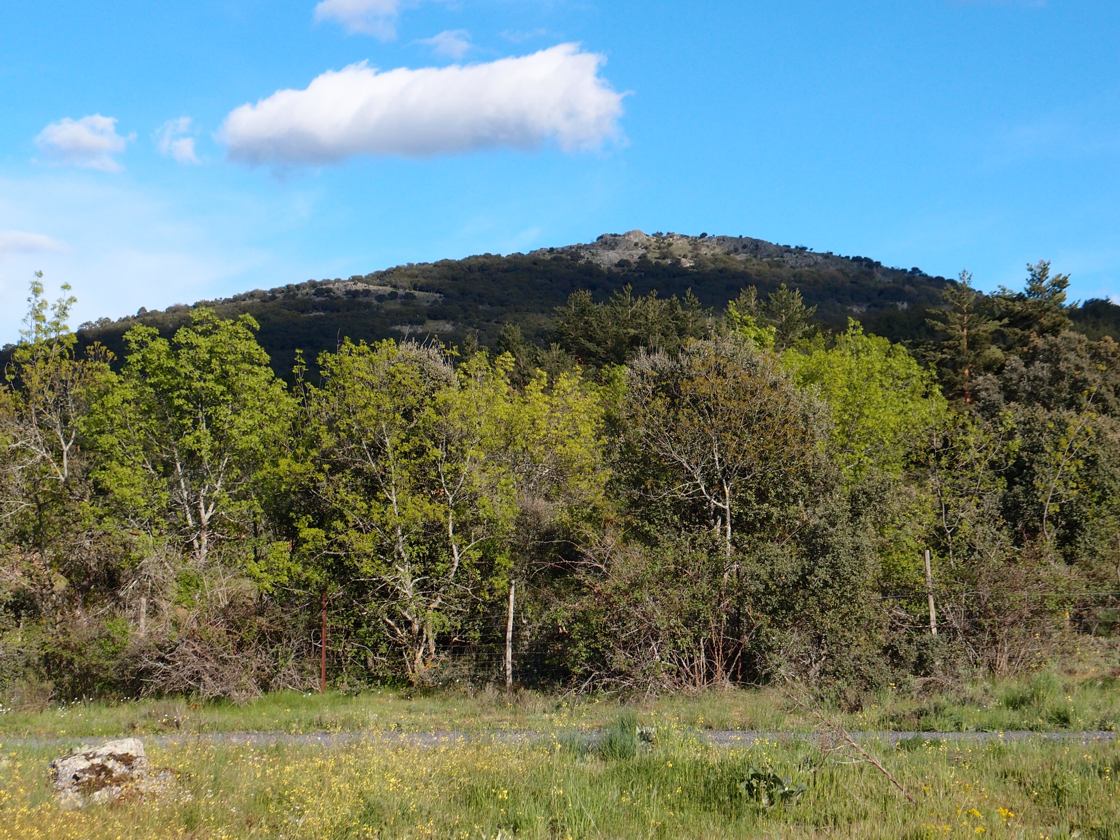 La Chopera | Turismo de Segovia