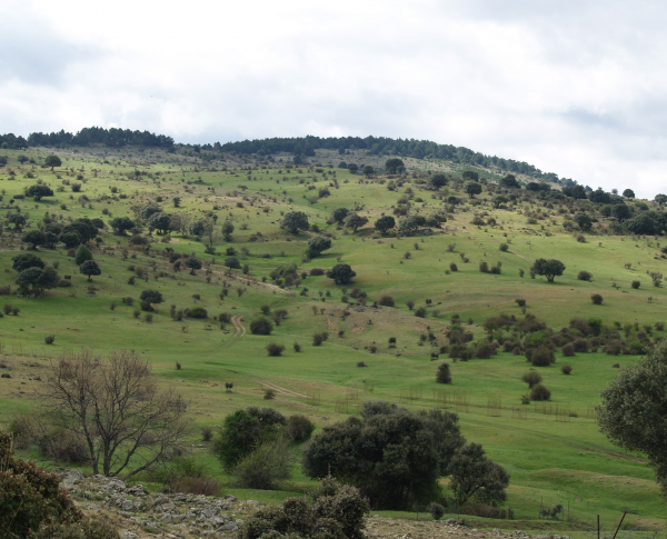 The road through Segovia in images | Turismo de Segovia